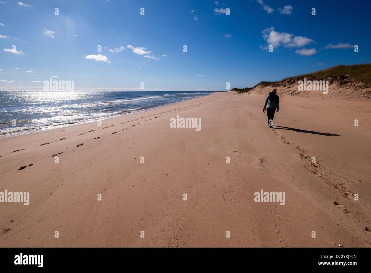 Person walking on beach at Basin Head Provincial Park, Prince Edward ...