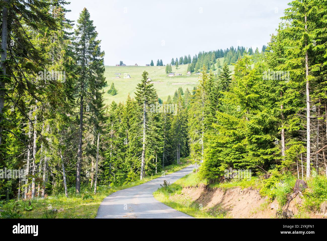 The beautiful nature of Rugova canyon in the countryside of Kosovo ...