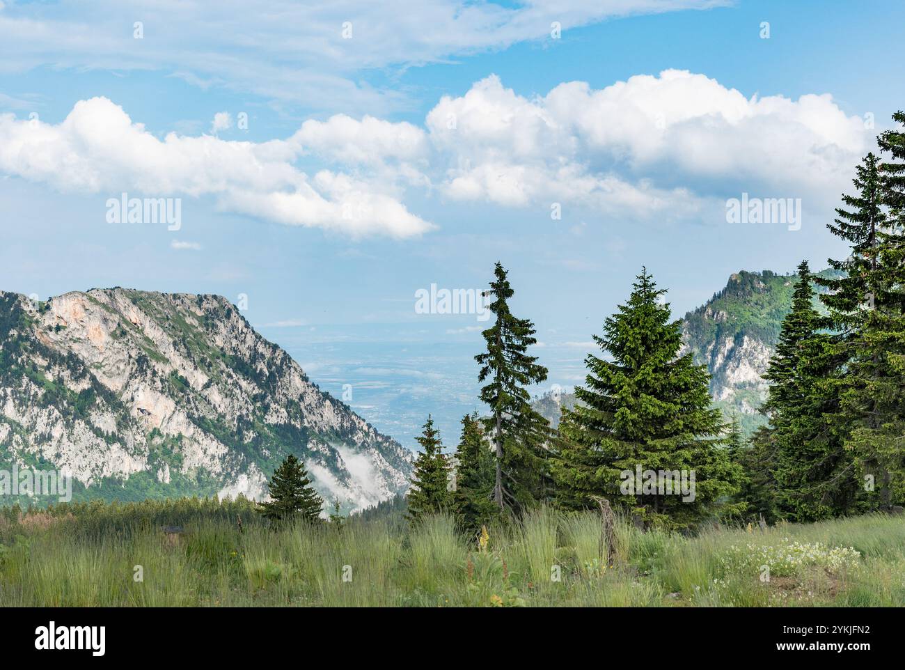 The beautiful nature of Rugova canyon in the countryside of Kosovo ...