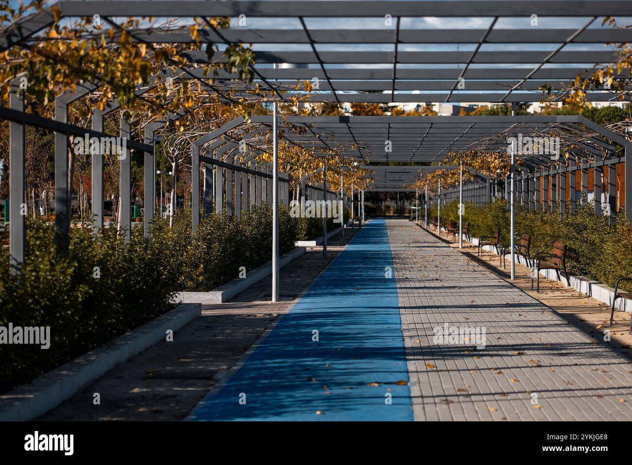 Canopy walkway architecture hi-res stock photography and images - Alamy