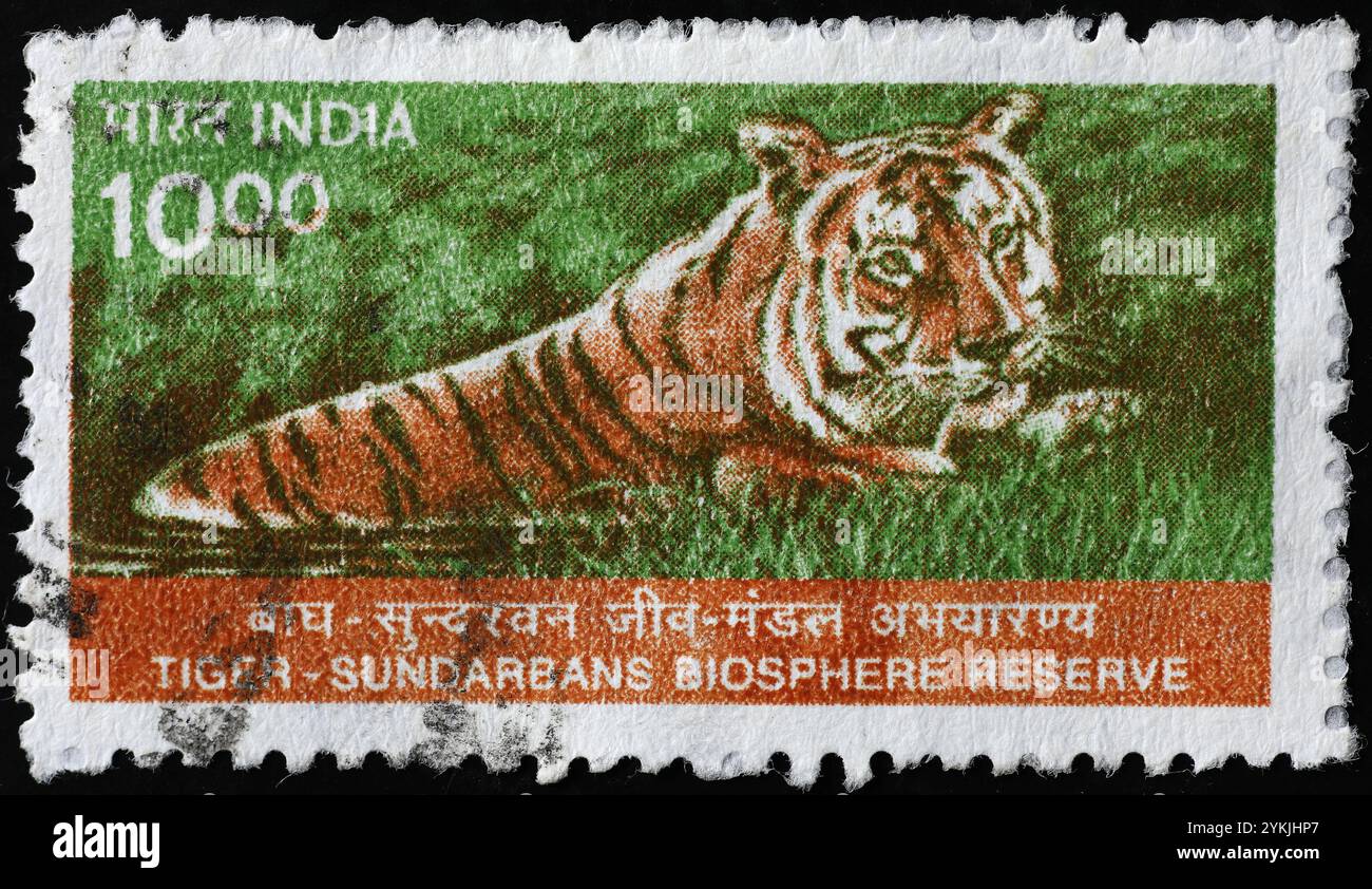 Tiger on old indian postage stamp Stock Photo - Alamy