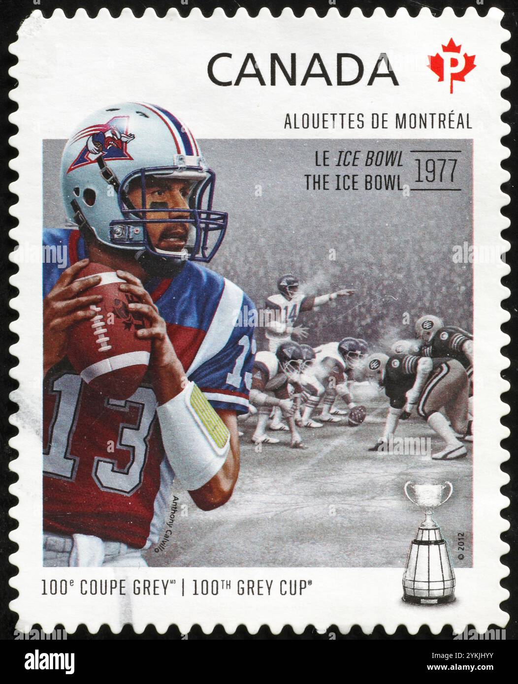 Alouettes football hi-res stock photography and images - Alamy