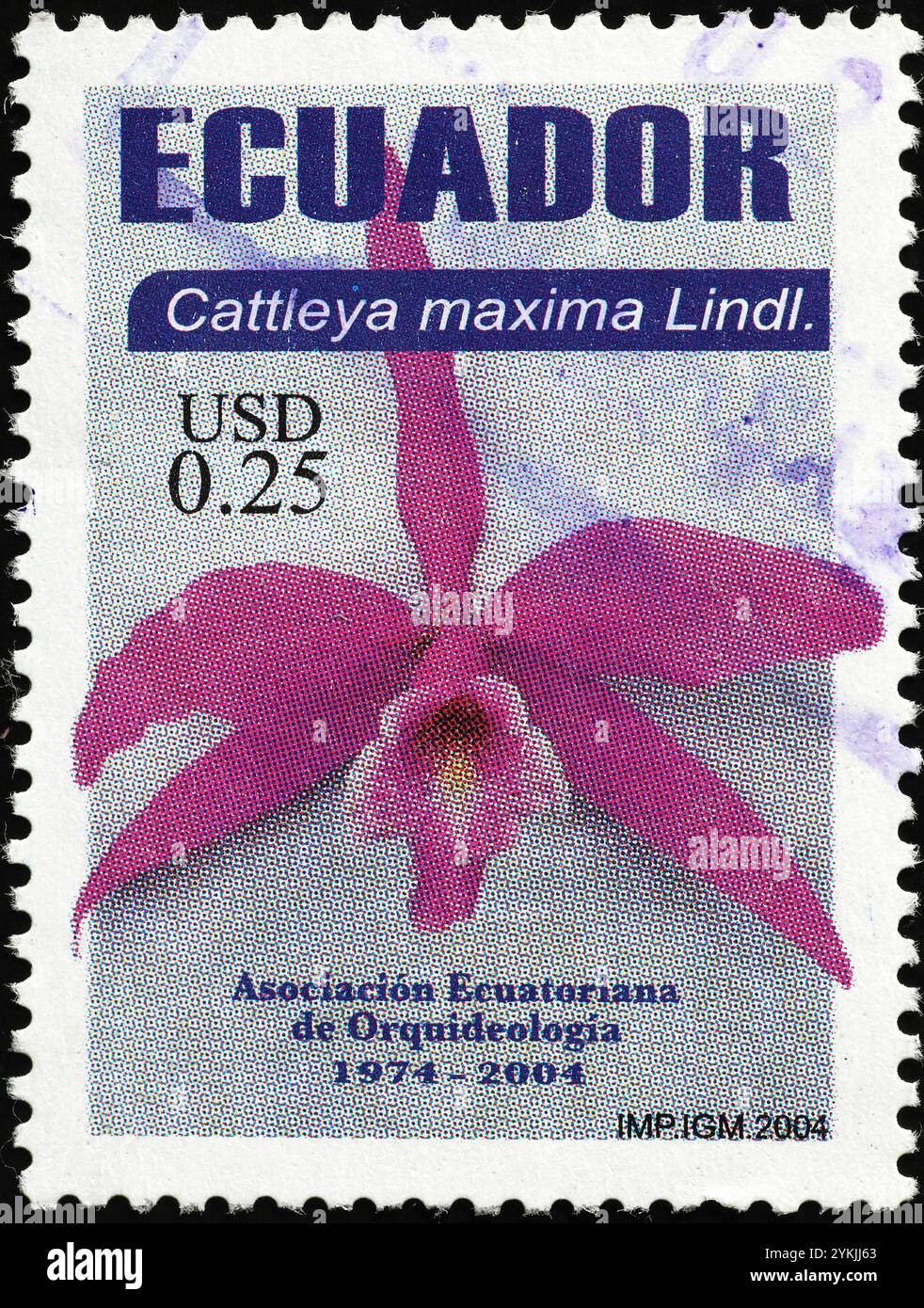Beautiful orchid on vintage postage stamp from Ecuador Stock Photo - Alamy