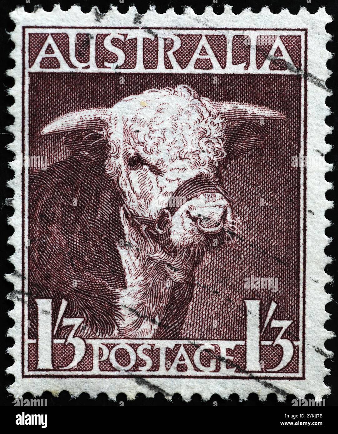 Bull head on ancient australian postage stamp Stock Photo - Alamy