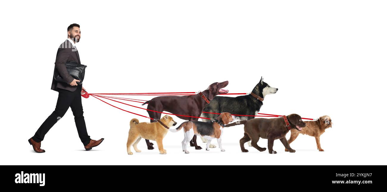 Young man with six different dogs on white background. Dog walking ...
