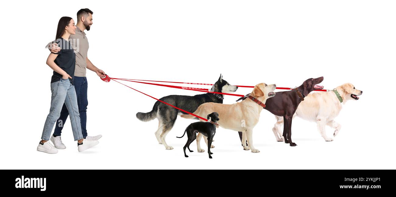 Young man and woman with five different dogs on white background. Dog ...