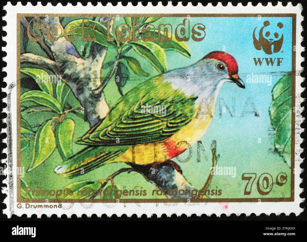 Lilac-crowned fruit dove (Ptilinopus rarotongensis) on postage stamp ...