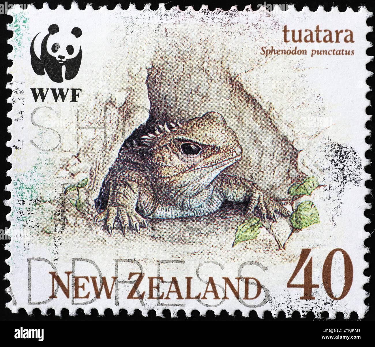 Lizard Tuatara on New Zealand postage stamp Stock Photo - Alamy