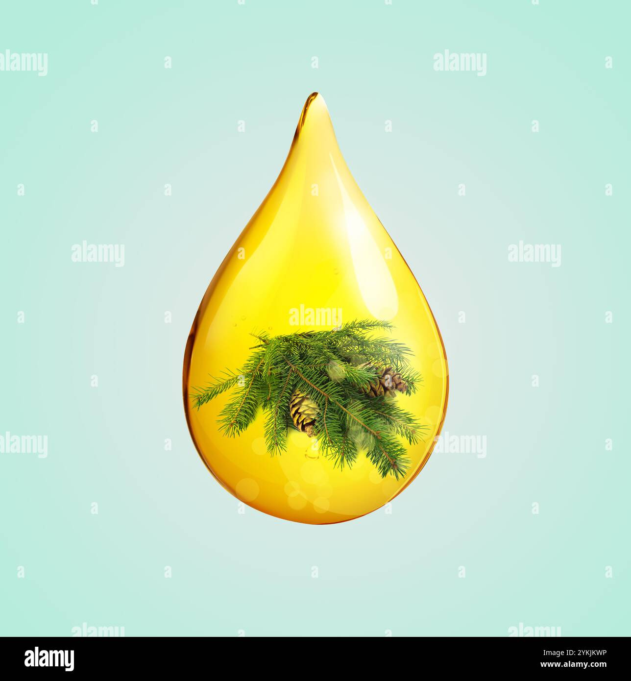 Conifer essential oil drop with fir tree branch inside on light blue ...