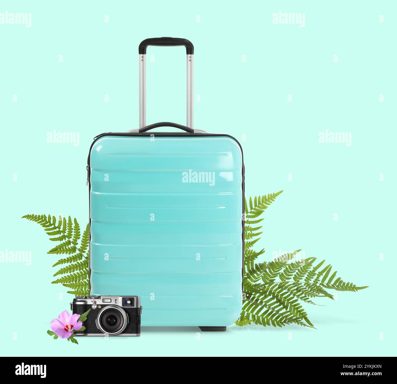 Turquoise travel suitcase, camera, tropical leaves and flower on light ...