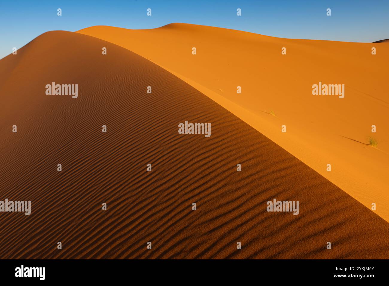 Sahara desert landscape wonderful dunes hi-res stock photography and ...