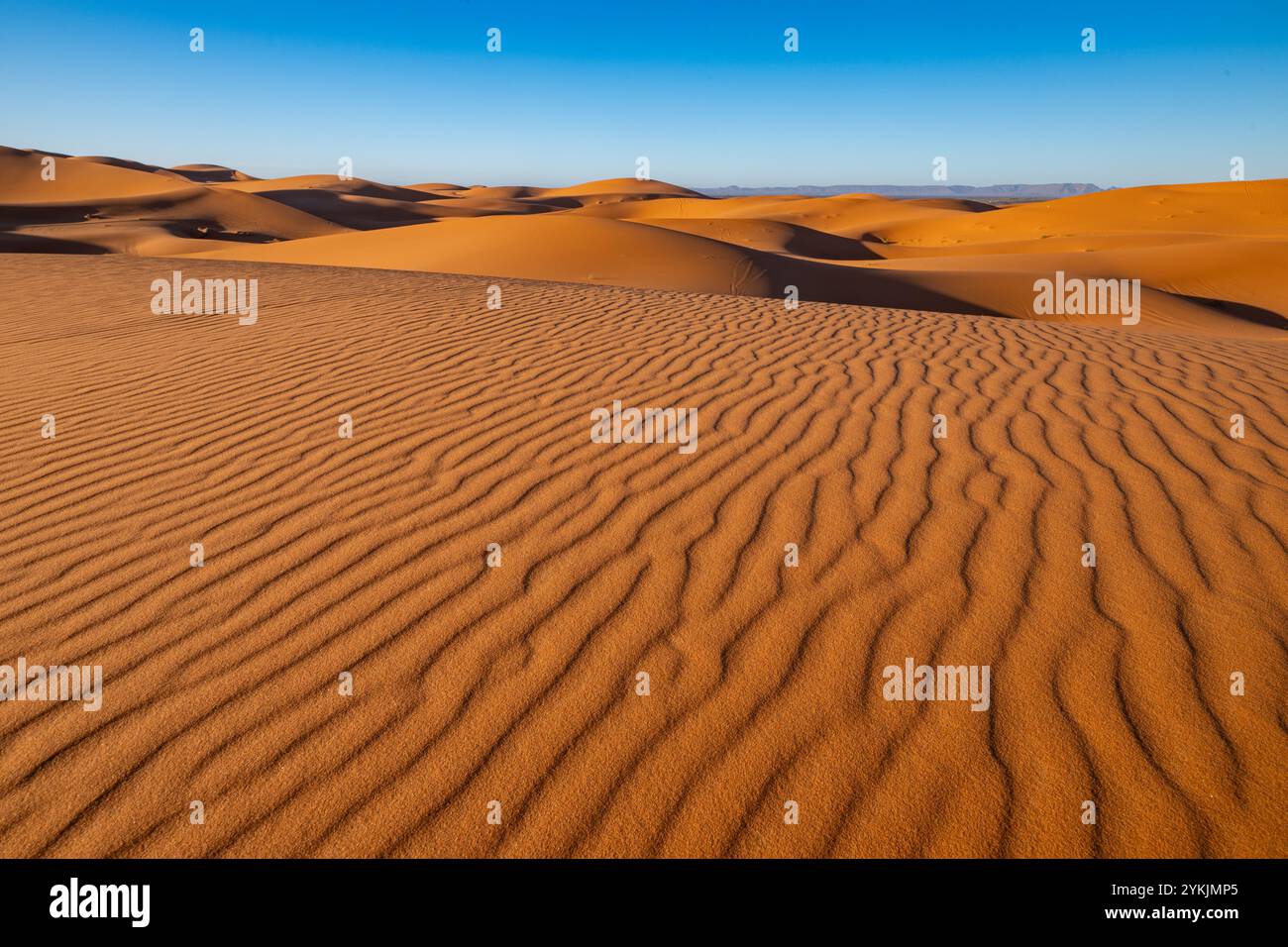 Sahara desert landscape wonderful dunes hi-res stock photography and ...