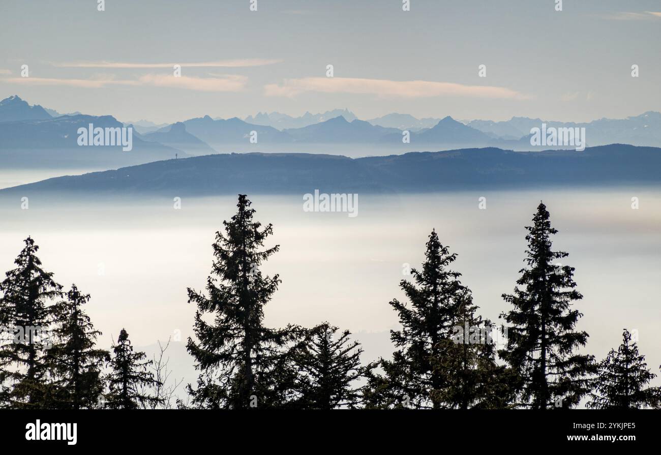 French Alps rising above the mist on Lake Geneva Stock Photo - Alamy