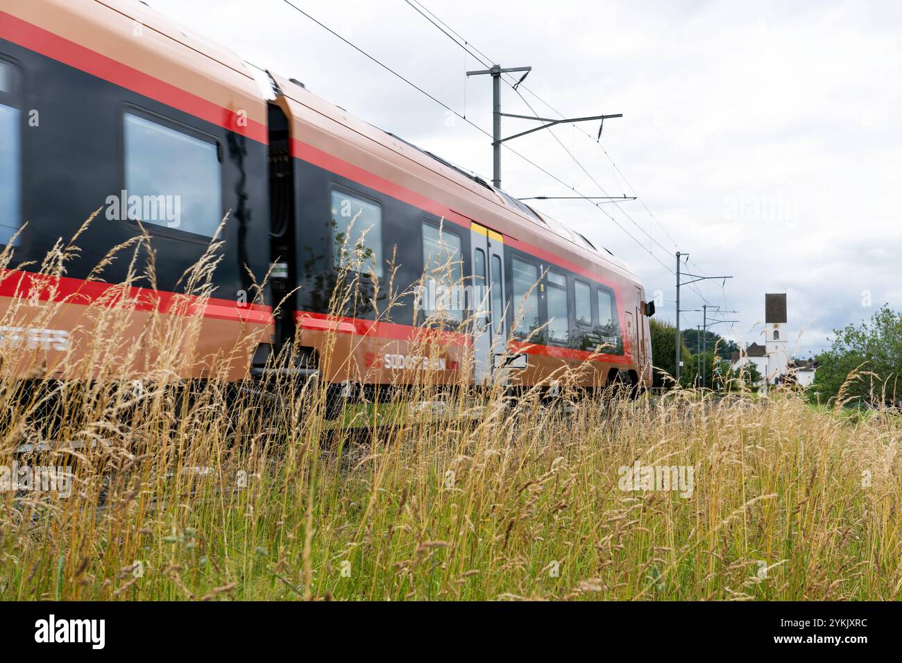 Golden Regional Train Gliding Through Swiss Landscape Stock Photo - Alamy