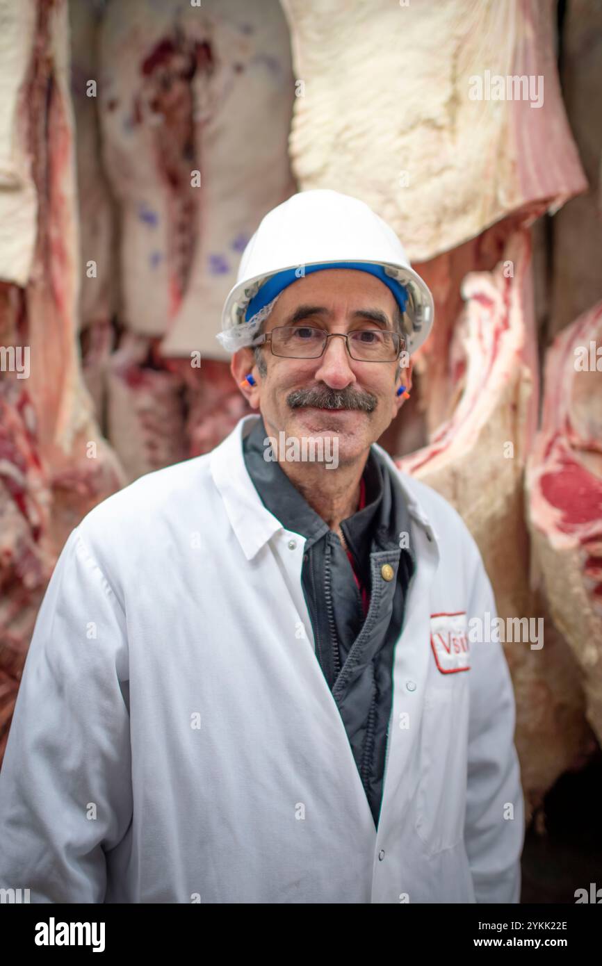 Hog testing hi-res stock photography and images - Alamy