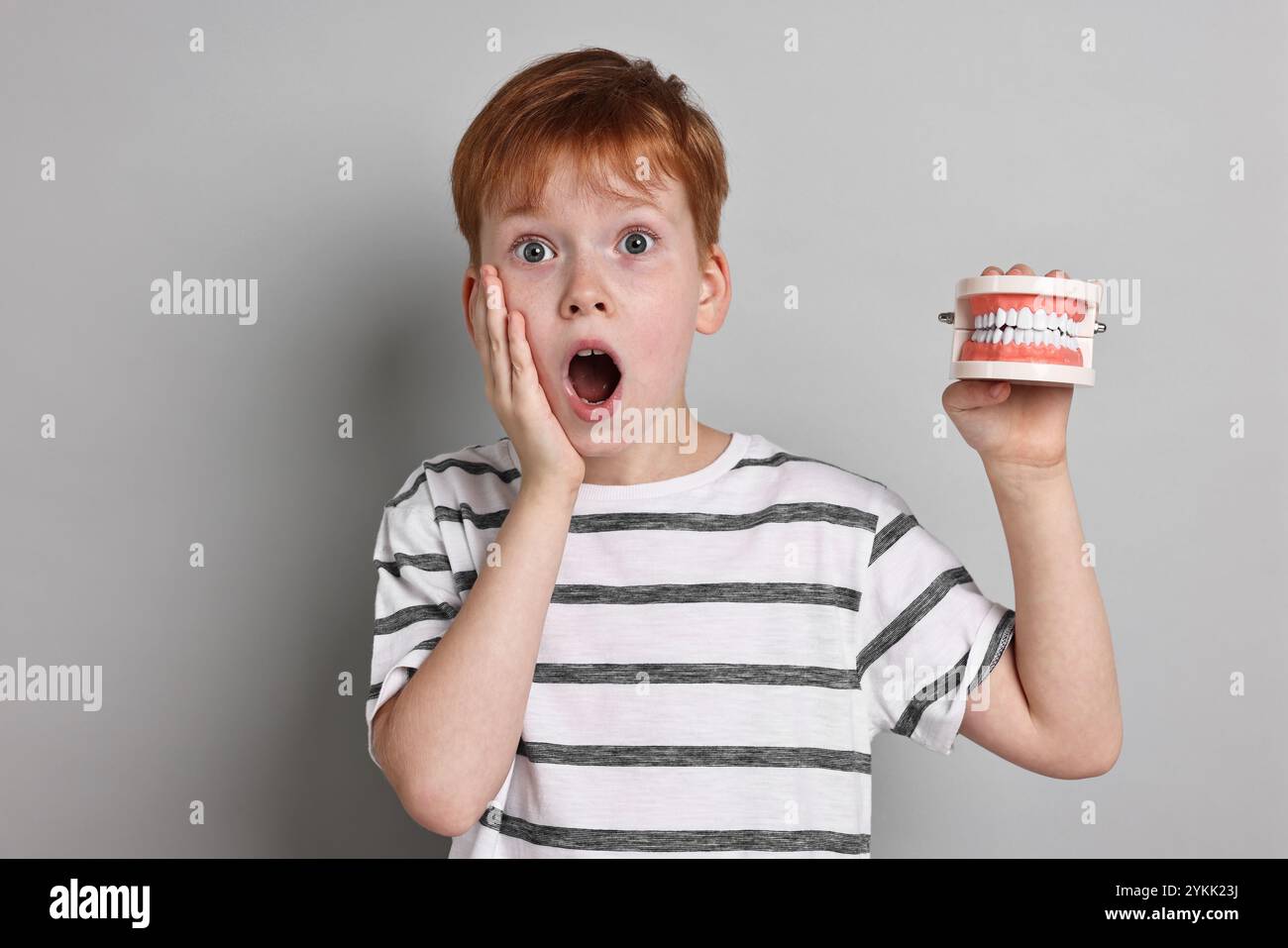 Dental phobia. Scared boy with model of jaw on grey background Stock ...