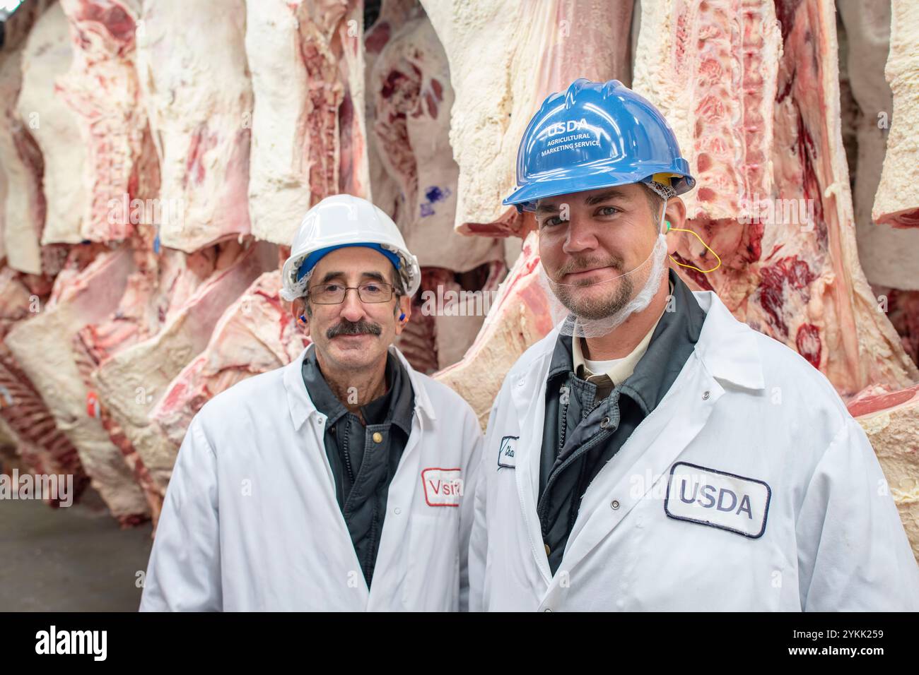 Hog testing hi-res stock photography and images - Alamy