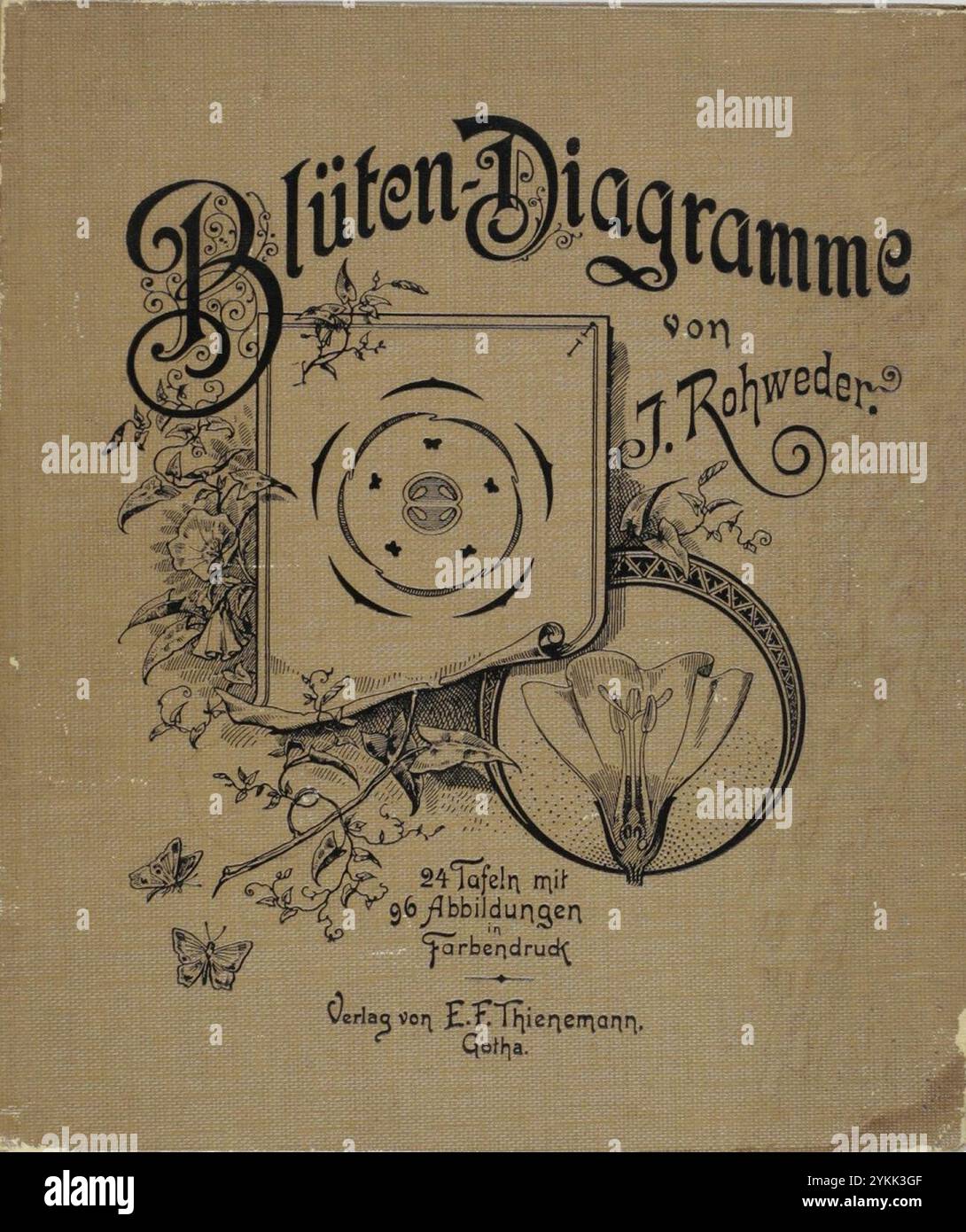 How to diagramme hi-res stock photography and images - Alamy