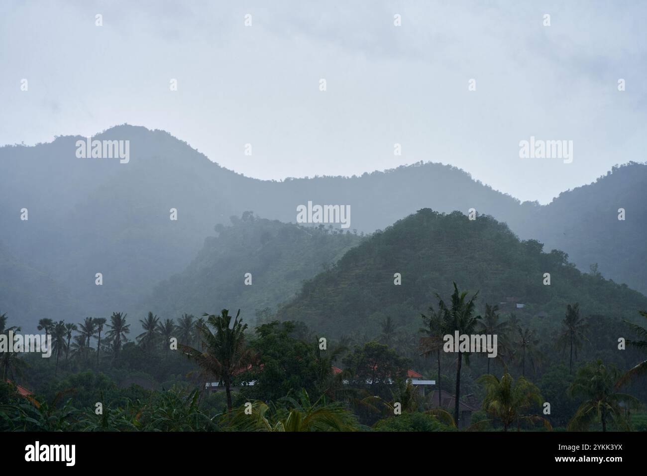 A tropical rainstorm in a rice field with cascading mountains and palm ...