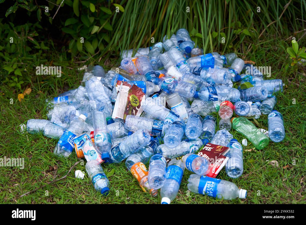 Plastic pollution in jungle environmental hi-res stock photography and ...