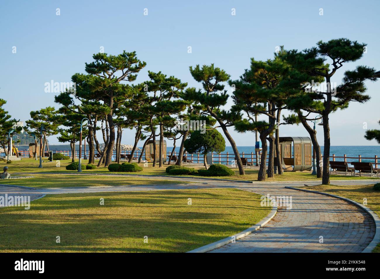 Sokcho, South Korea - November 3rd, 2024: A peaceful walkway lined with pine trees at Seorak ...