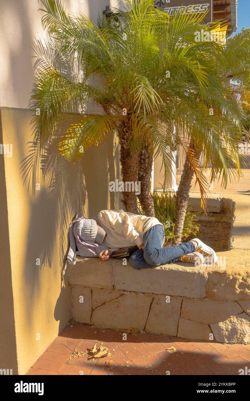 A homeless person sleeping on a city planter that contains smaller palm ...