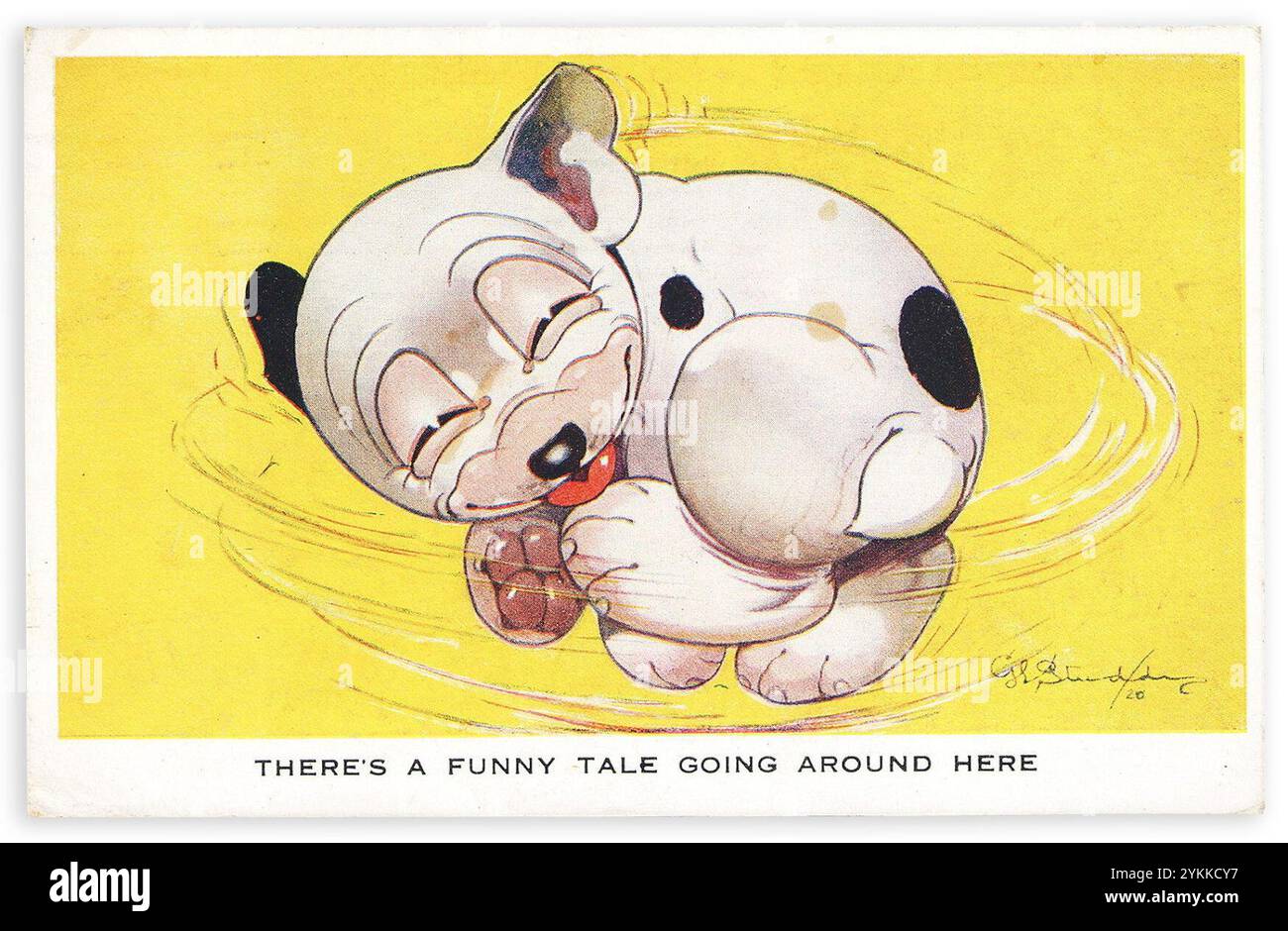 Bonzo hi-res stock photography and images - Alamy