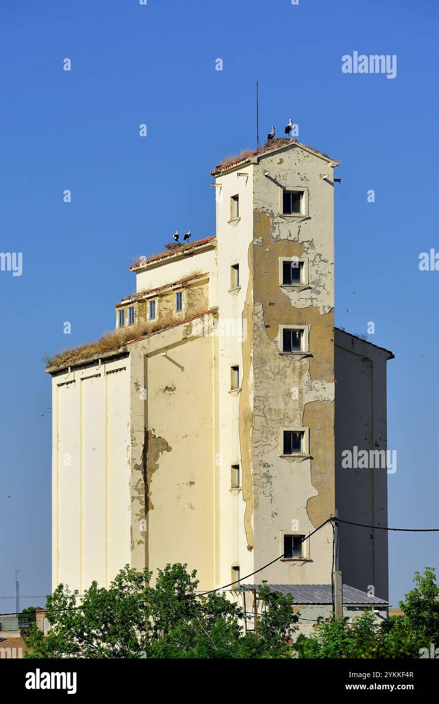 Big silo hi-res stock photography and images - Alamy