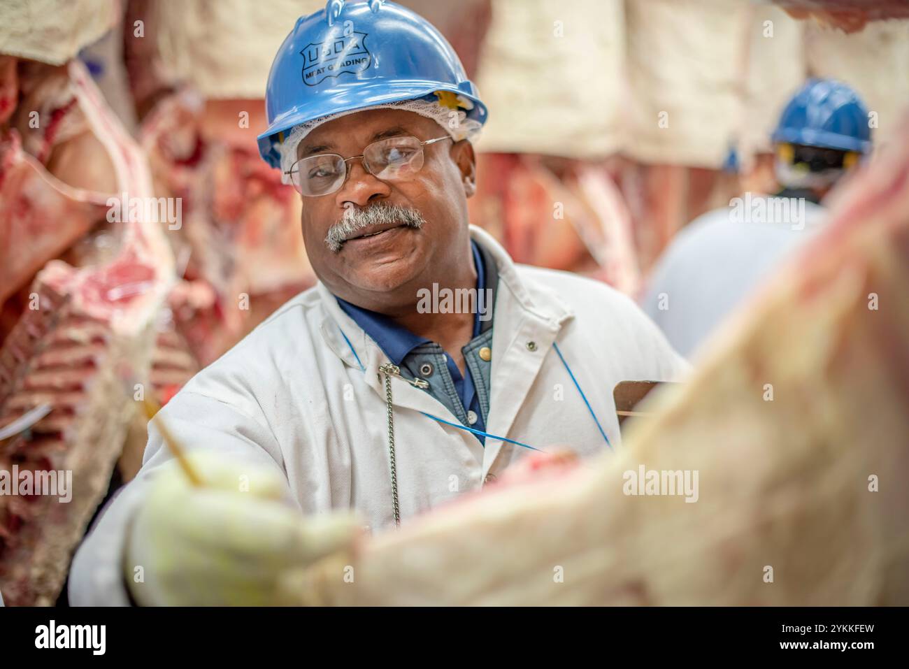 USDA agricultural meat inspectors inspect and grade beef at a ...