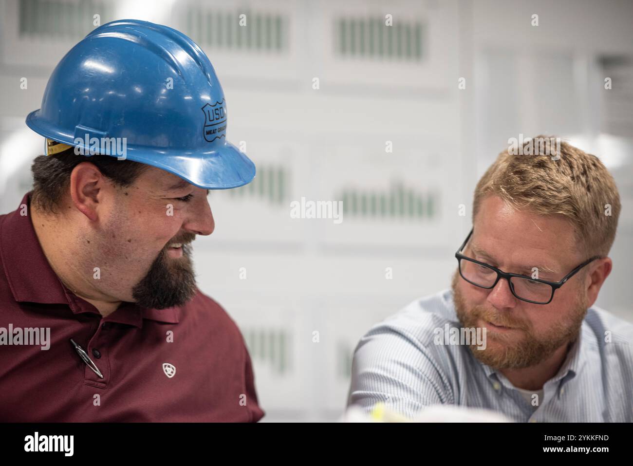 USDA agricultural meat inspectors inspect and grade beef at a ...