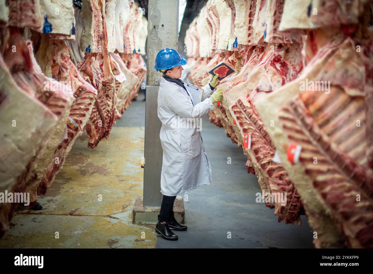 Usda plant inspection station hi-res stock photography and images - Alamy