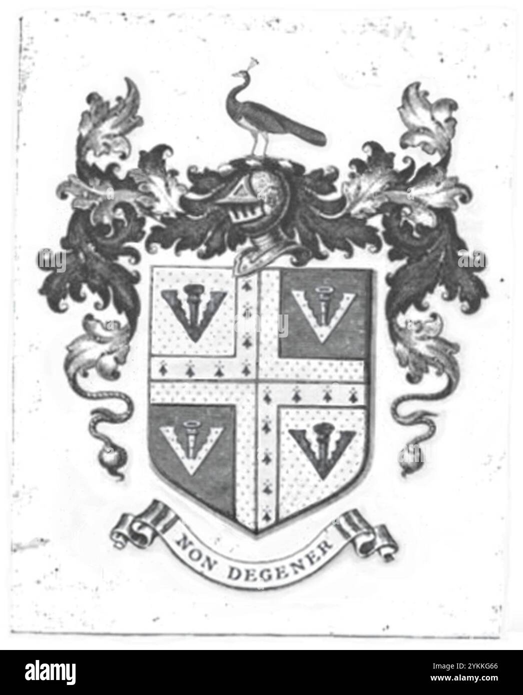 Vintage bookplate Cut Out Stock Images & Pictures - Alamy