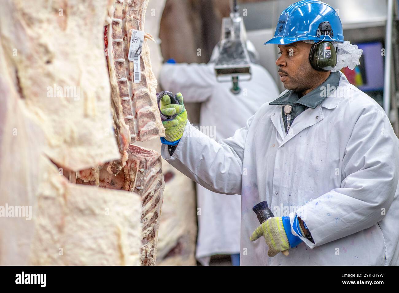 U.S. Department of Agriculture (USDA) meat inspectors and graders ...