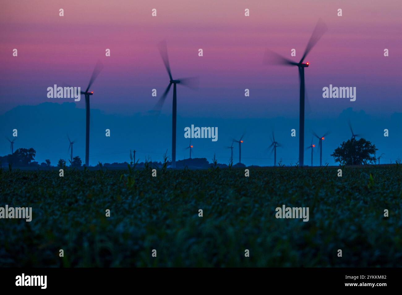 Wind turbines on the Bishop Hill wind farm operate among the corn and ...