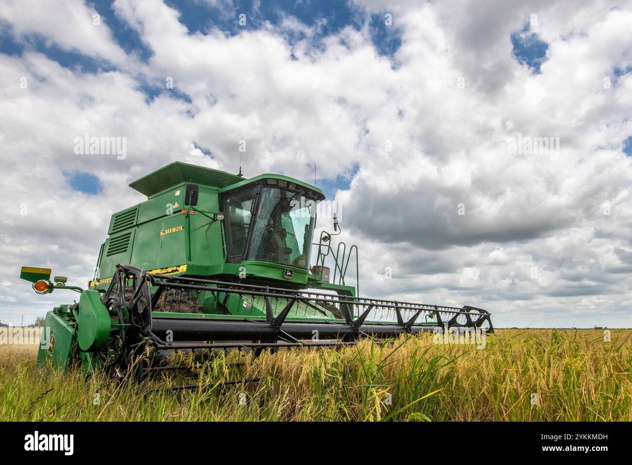 Rice harvest at 3S Ranch, near El Campo and Nada, Colorado County ...