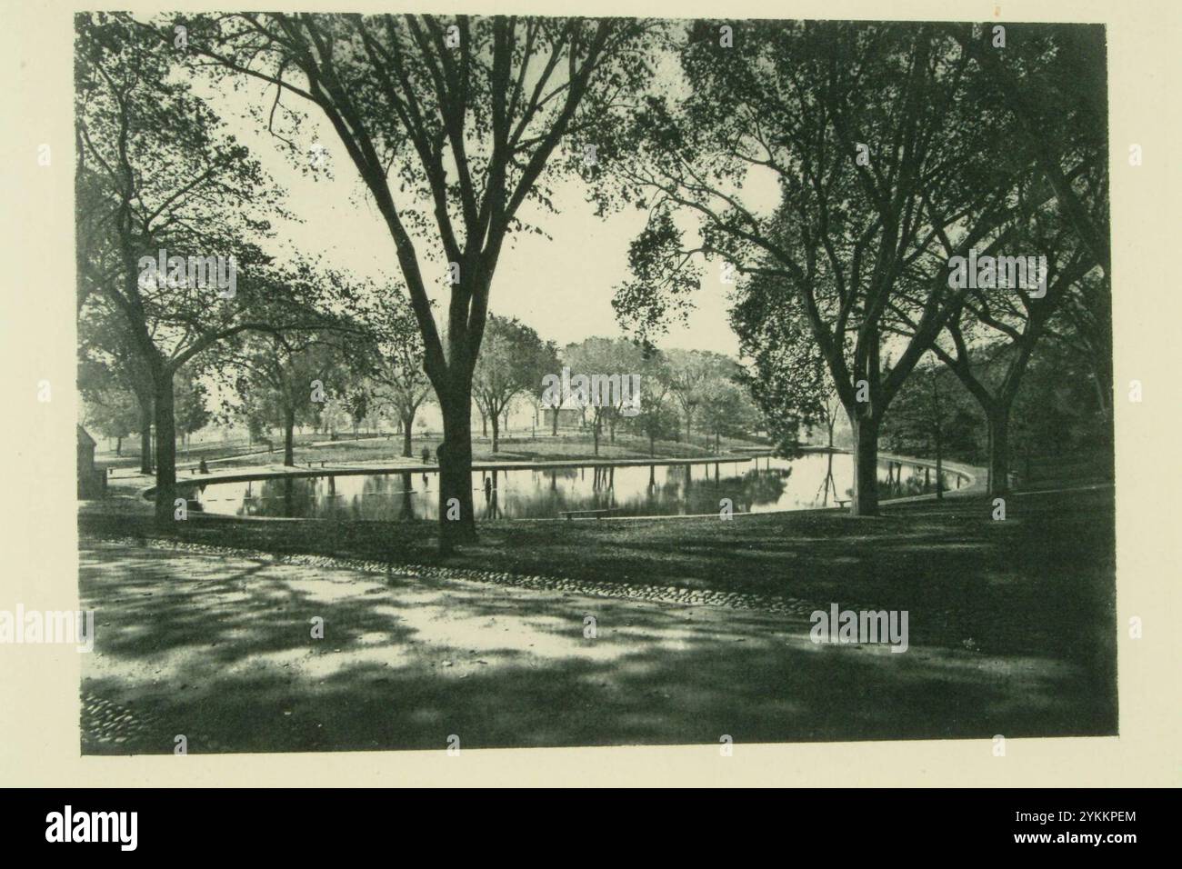 Boston Common, Boston Souvenir collection, Charles Pollock, 1895 Stock ...
