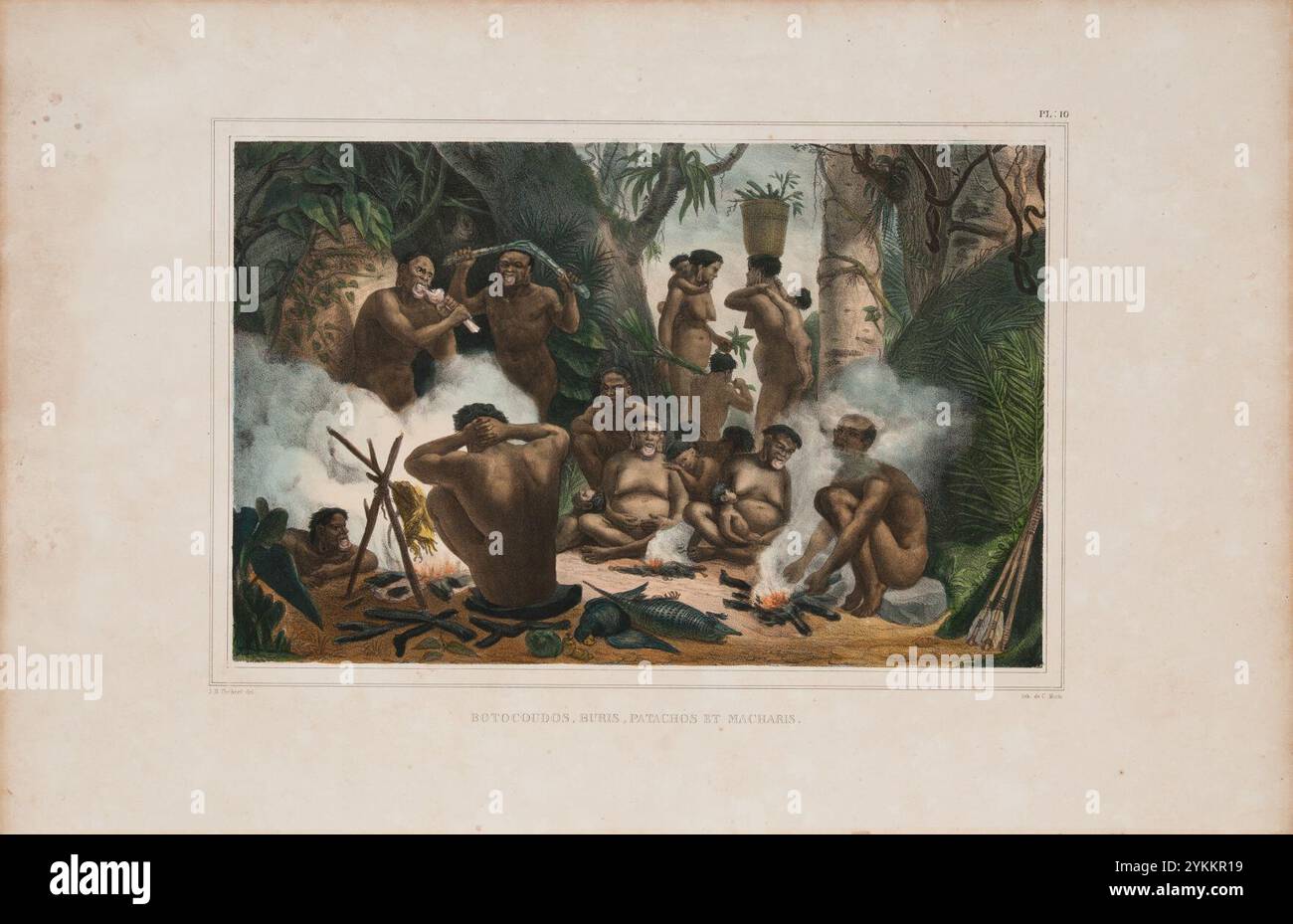 The buris 1 hi-res stock photography and images - Alamy