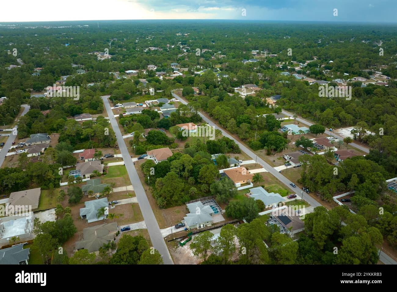 Aerial landscape view of suburban private houses between green palm ...