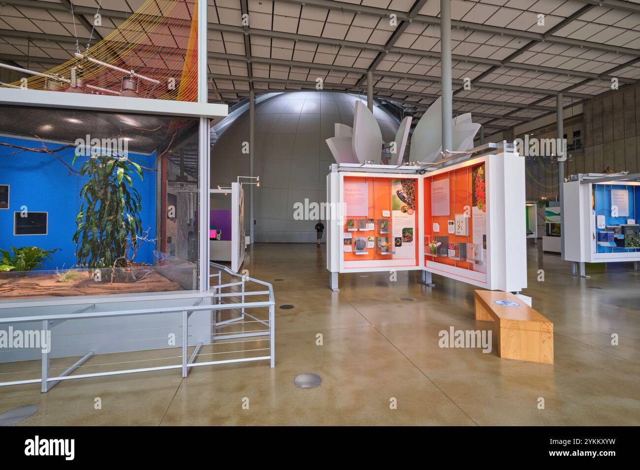 Gallery, area displaying botany, plant exhibits. At the California ...