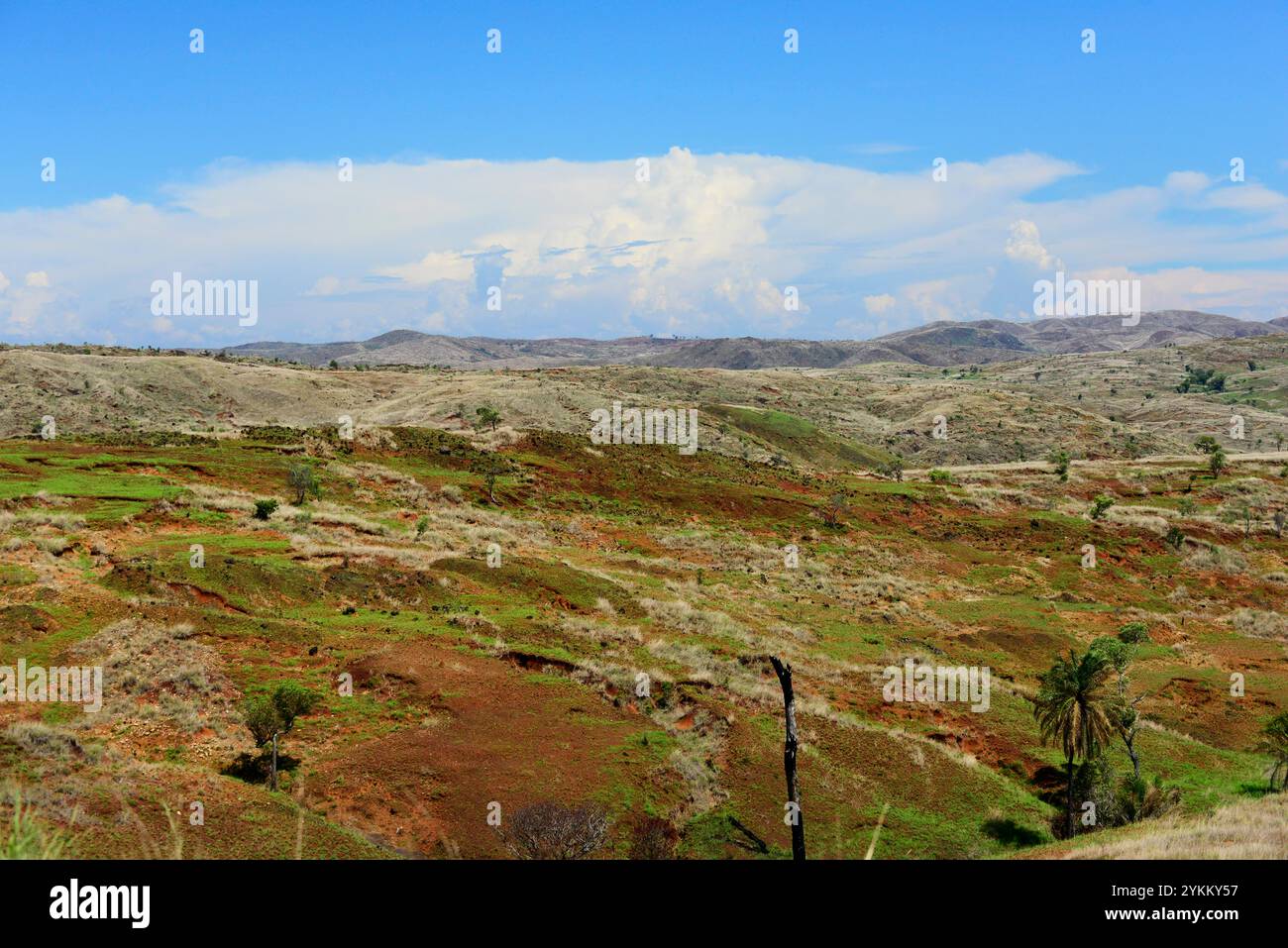 Beatuiful landscapes in the Central Highalnds in Madagascar Stock Photo ...