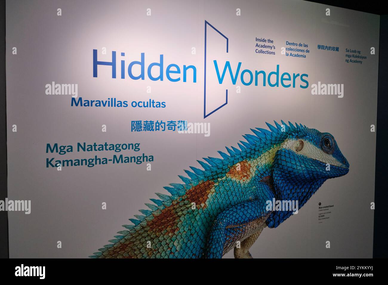 The introduction sign with colorful lizard image. In the show on Hidden ...
