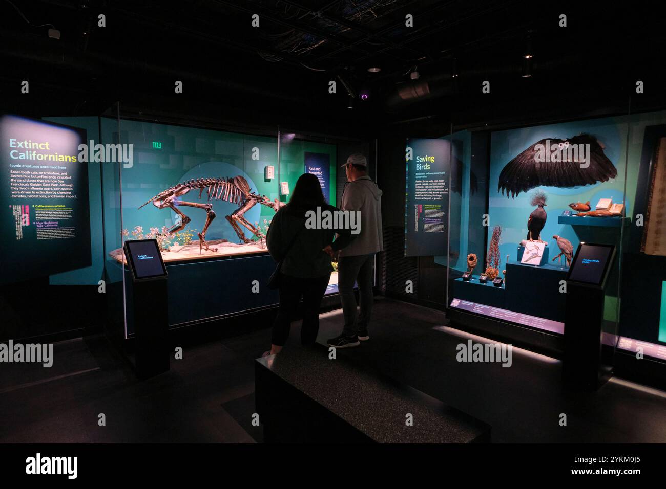 Visitors looking at a skeleton and a bird wing. In the show on Hidden ...