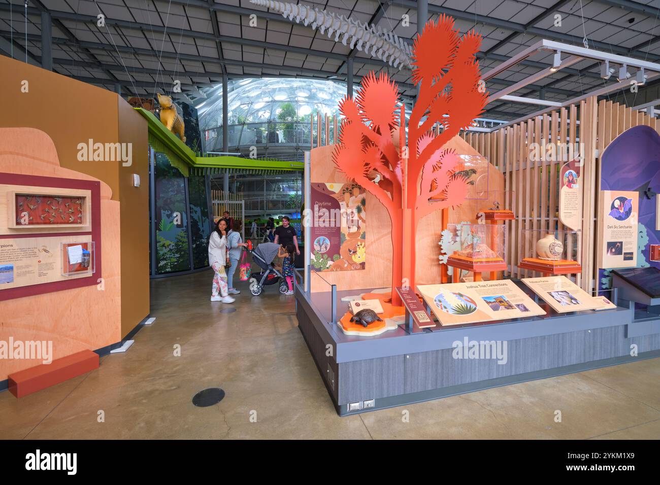 A cutout of a tree and desert environment. In the section on local ...