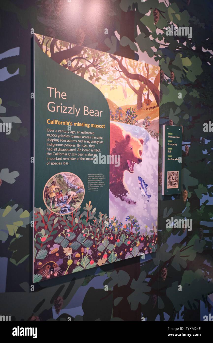 Display on the Grizzly Bear, flag symbol. In the section on local ...