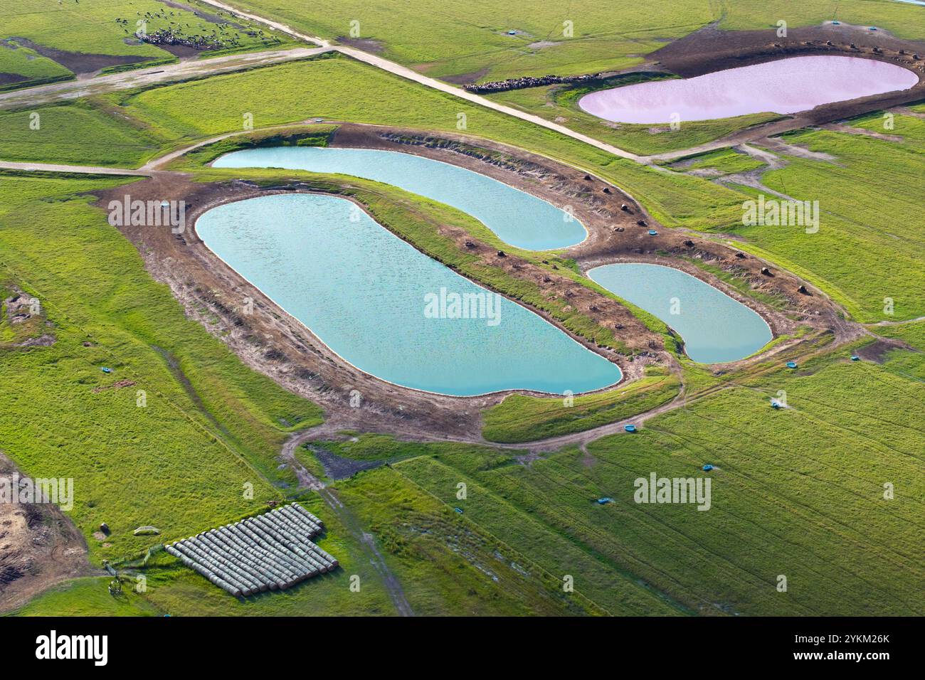 Farm yard pond hi-res stock photography and images - Alamy