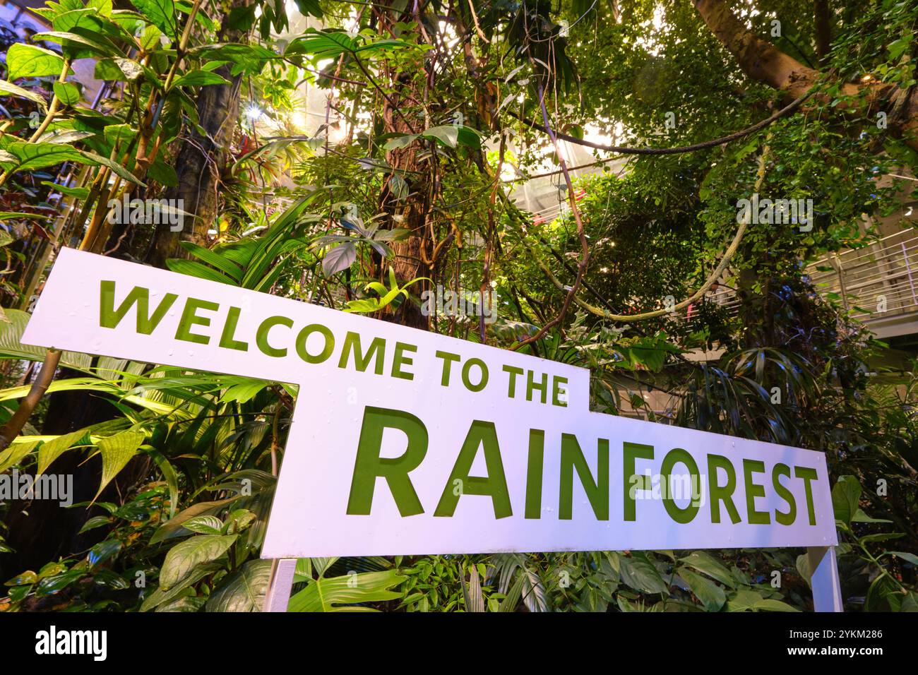 The welcome sign at the entrance to the dense flora, plants. In the ...