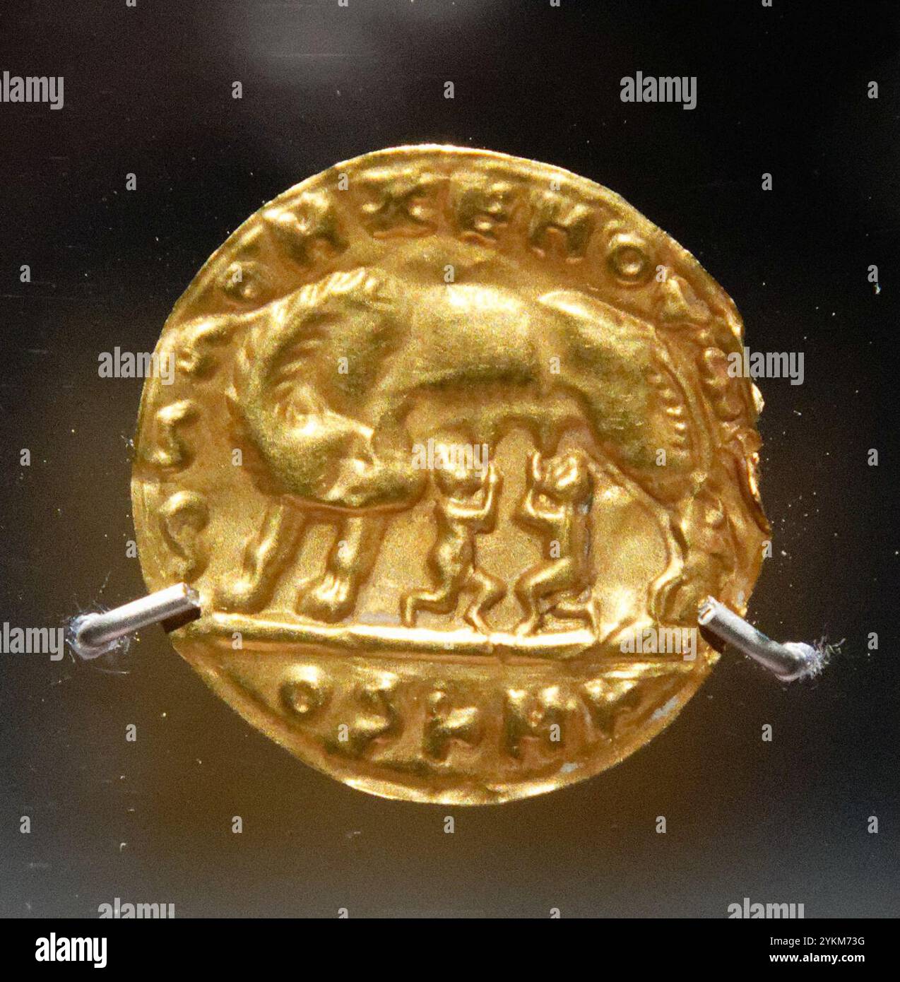 Bracteate or ebracteate hi-res stock photography and images - Alamy