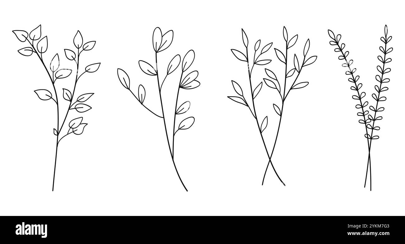 Twigs with leaves hand- drawn botanical collection.Vector illustration ...