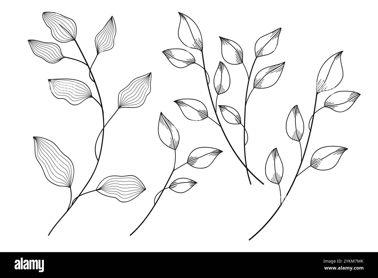 Line art hand - drawn Leaves Branch Collection.Vector illustration ...