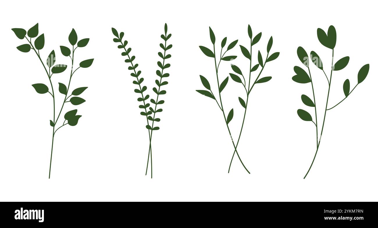 Twigs with leaves in spring Stock Vector Images - Alamy